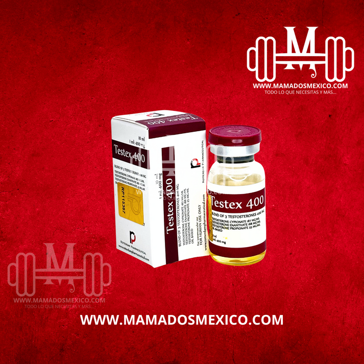 Testex 400 Rotterdam Pharmaceutical – MamadosMexico